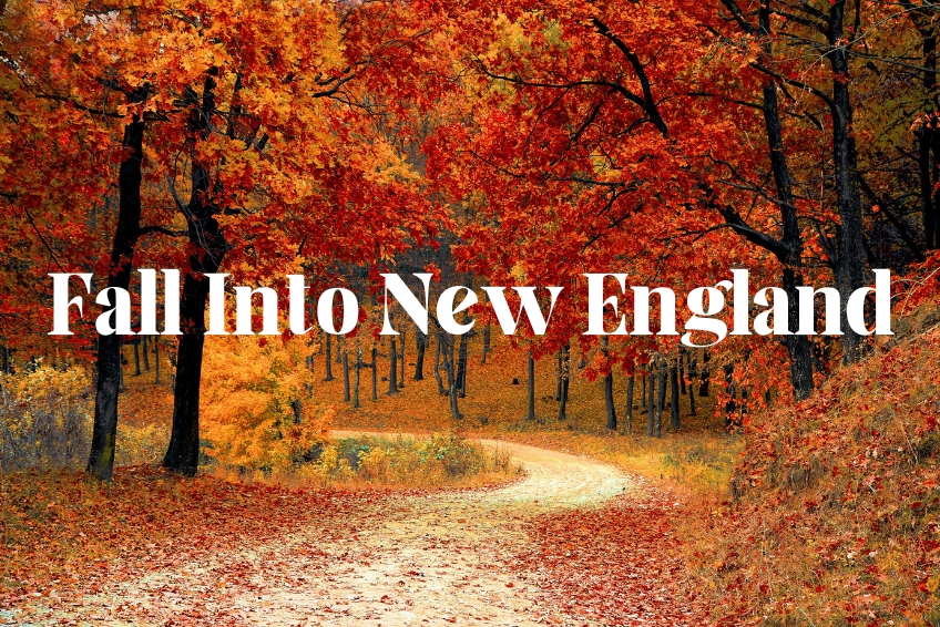 Fall Into New England Disclaimer Page | Fall Into New England